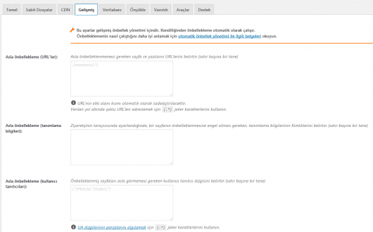 WP Rocket Cache Eklentisi Kurulum ve Ayarları | WpGurme